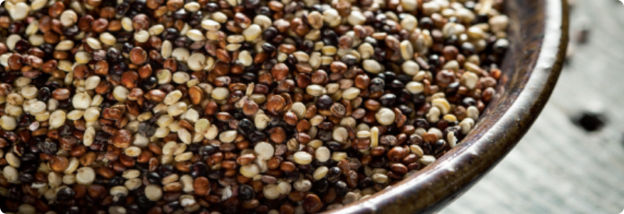 Protein: The Facts | Articles | Nutrition Masterclass